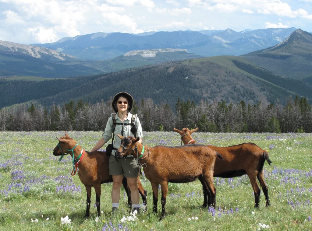 NAPgA Leadership | Directors, Officers & Committees